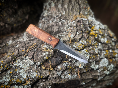 Oyster Dagger in Maple Burl | Iron Grove Tool Co