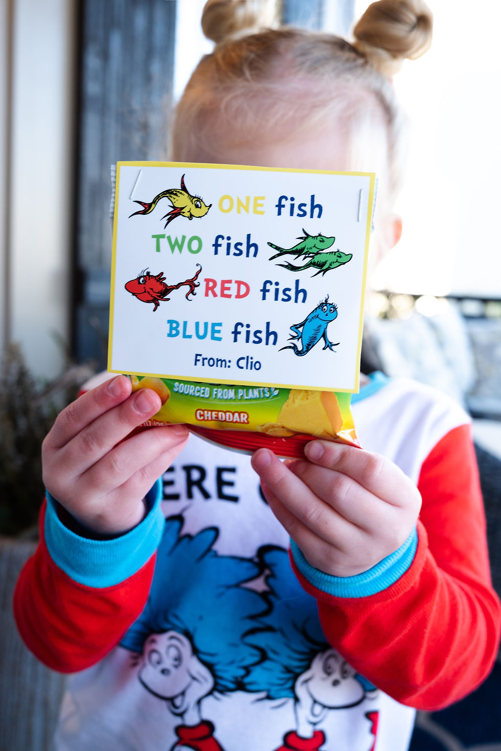 Celebrate Dr. Seuss Week: Rainbow Goldfish Snack Idea + Digital Download