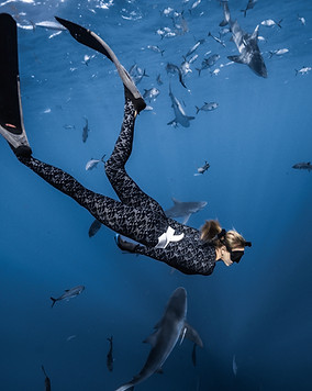 Plunge Waterwear | UPF 50+ Dive Skins