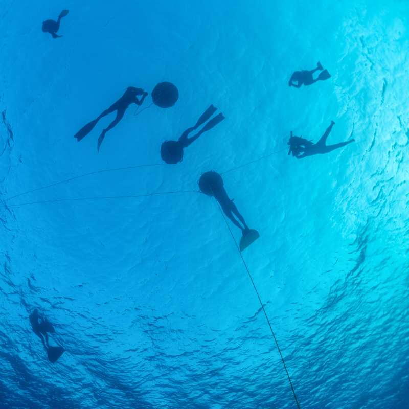 Dive Safe, Dive Deep: How to Freedive Safely