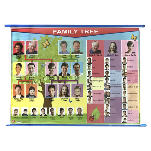 Póster clothes / family tree (con bastón) | Educatodo Colima