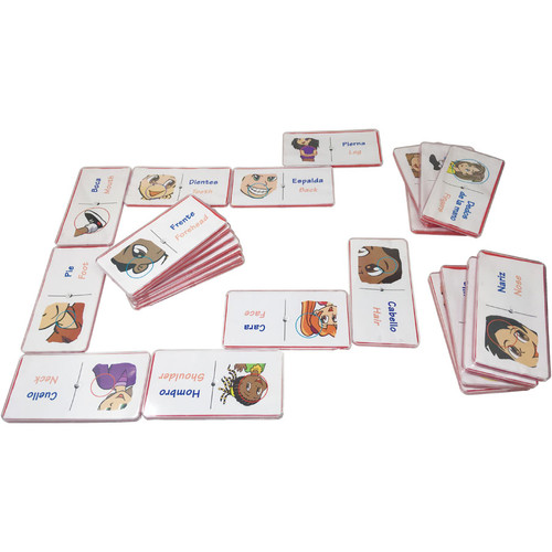 Dominó del cuerpo humano (inglés español) 24 piezas | Educatodo Colima