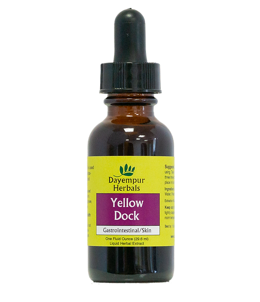 yellow dock herb
