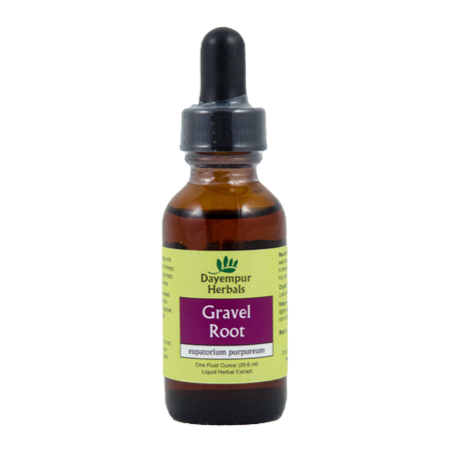 Gravel Root | dayempurherbals