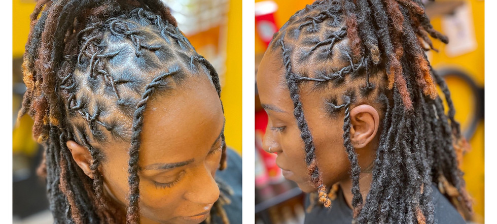 Locs, Dreadlocks, Goldie Loc's Natural Strands