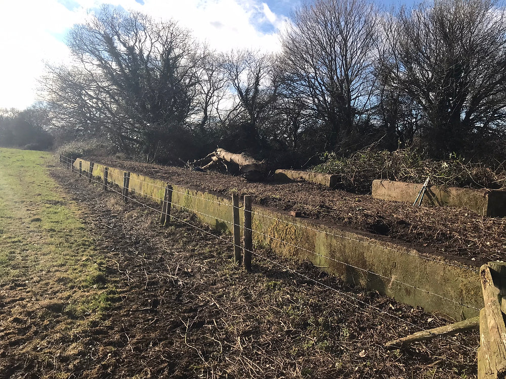 Rescuing Chalder Station