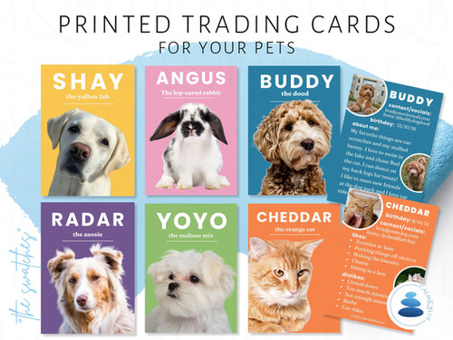 Pet Trading Cards | "The Swatches" | CalmandBlue