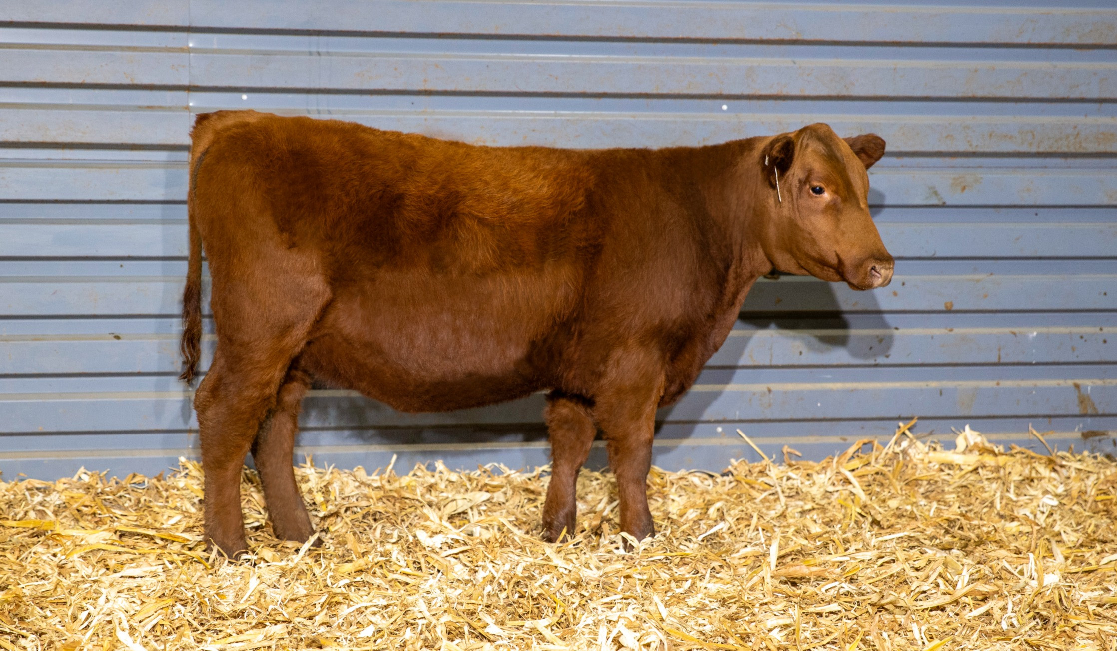 zzs | heartrivergenetics