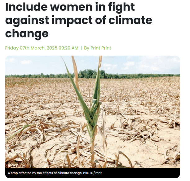 Press Coverage, Kenya