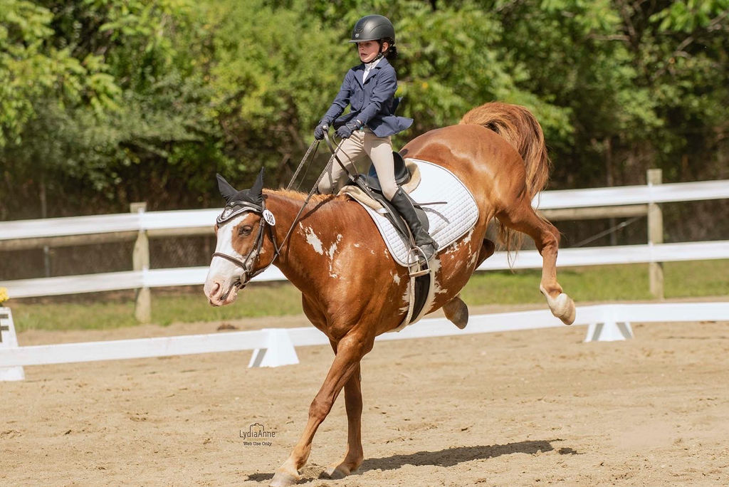 Riding Lessons | Walnut Grove Farm | Buffalo