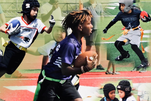 All Products | Apex Force Training