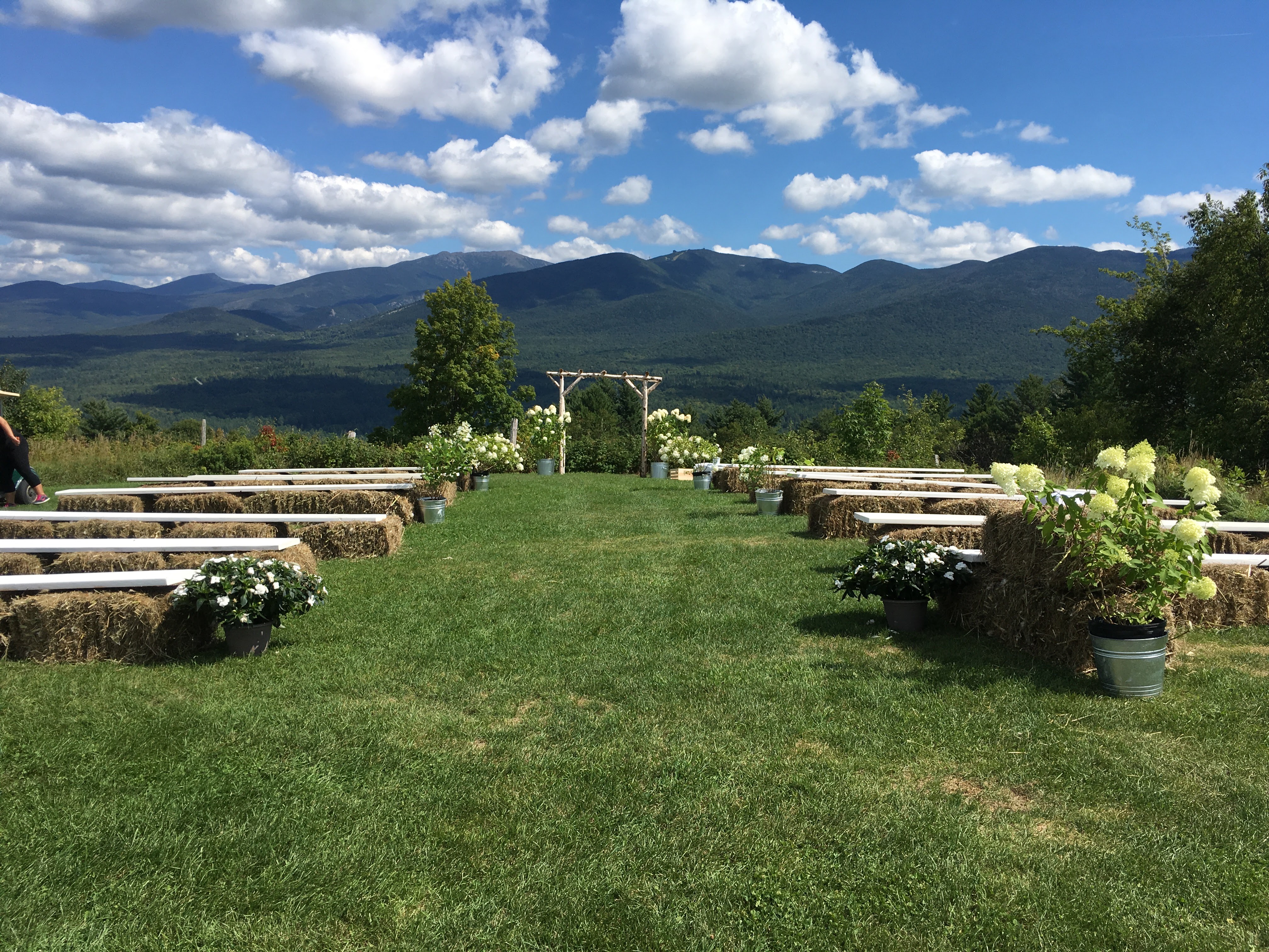 Home | Toad Hill Farms