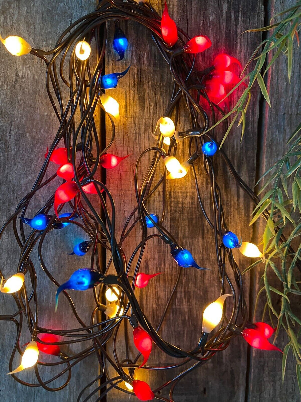 Red White Blue Silicone Dipped Bulb Strand | N.E. Country Barn