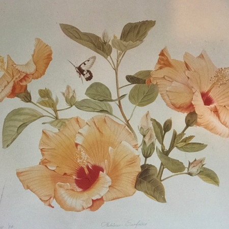 Australian Artist | Helen Halliday Artist