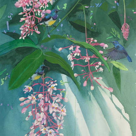 Australian Artist | Helen Halliday Artist