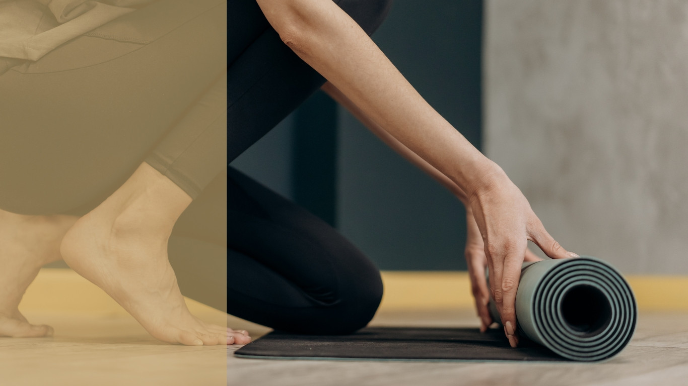 FIT PLAN - BEGINNERS | SilSit