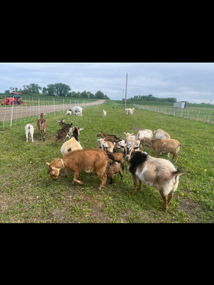 Gallery | Willow Dunn Ranch