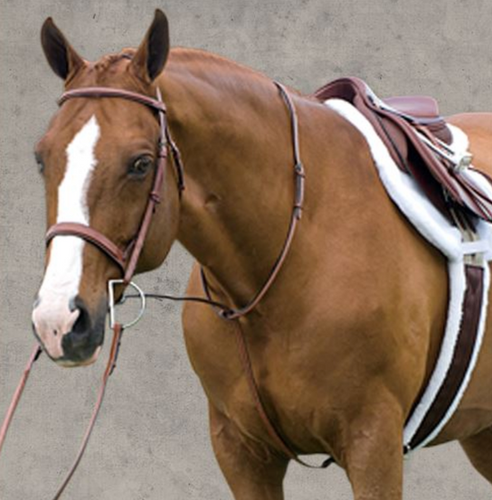 Hunter Tack Set | Castel Saddlery