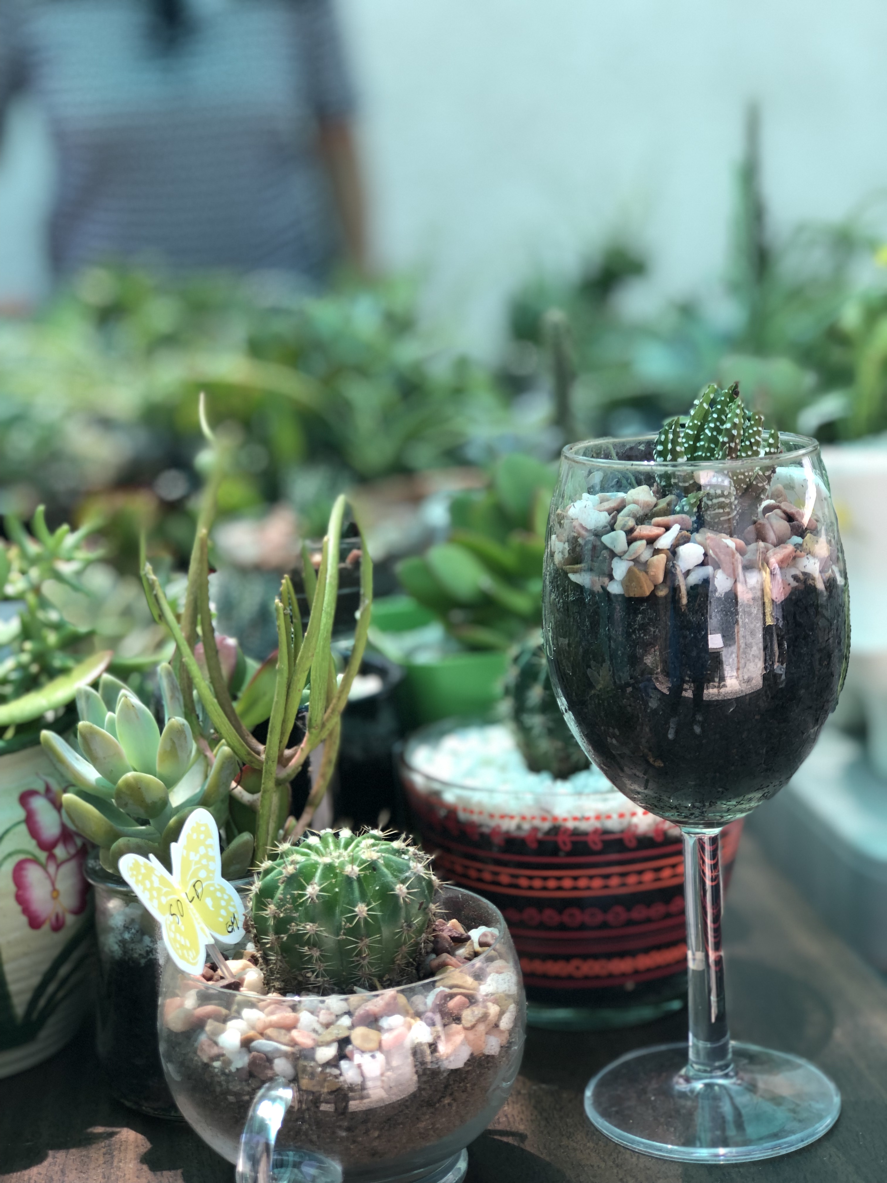 ホーム | NPO| Nalc USA アメリカ Npo | Nalcusa ナルクNPO | Nal USA 日系ボランティア ポイント ロスアンジェルス