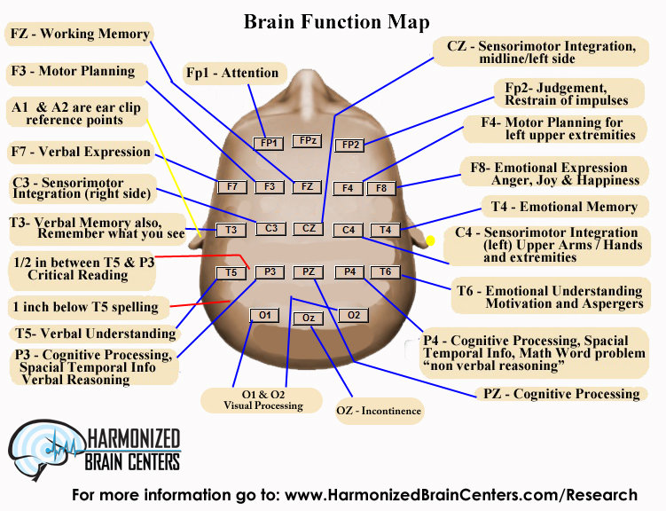 Brain Function Map