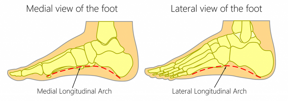 Pronated or Supinated ? What is your Foot Pronation Type