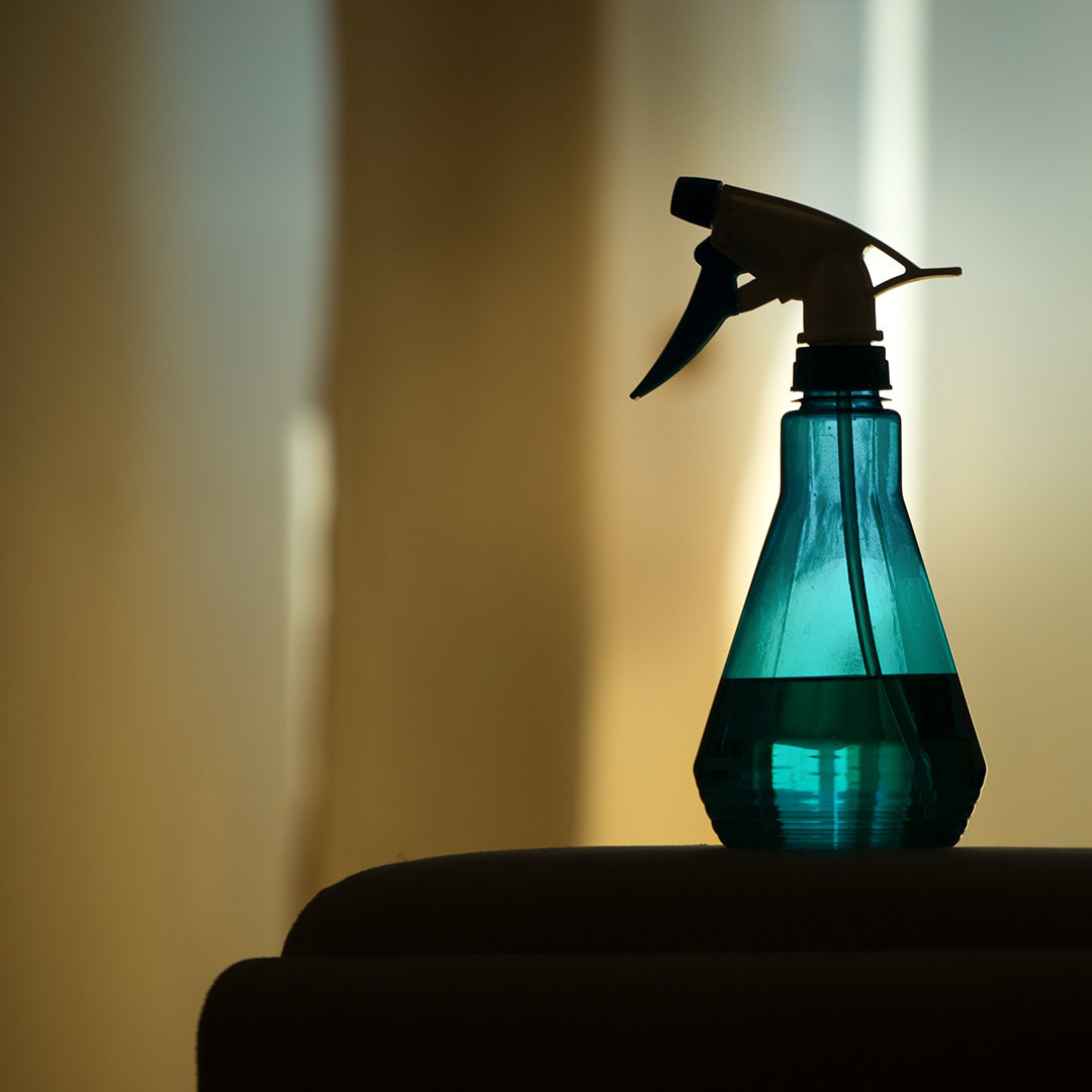 Homemade insecticide spray