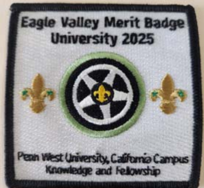 Surveying Merit Badge