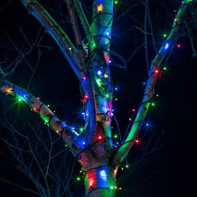 10m LED Pealight Cool white & Multi Colour Dual Colour | David Rose ...