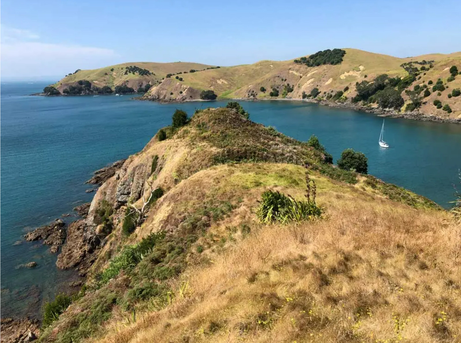 Station Bay, on the eastern flank of Motutapu Island