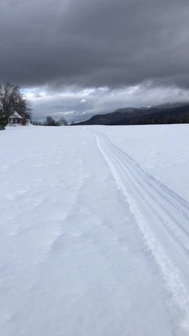 5-6 inches of fresh snow!