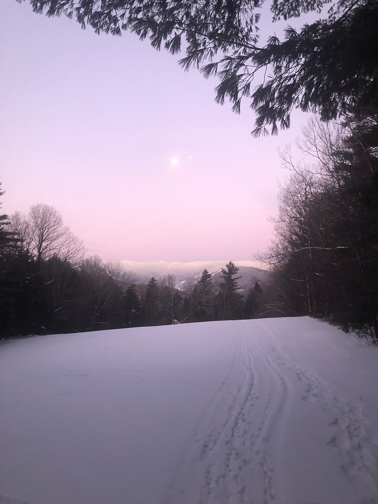 2" Fresh Snow, trails looking nice