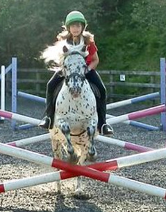 Services | Penycoed Stables