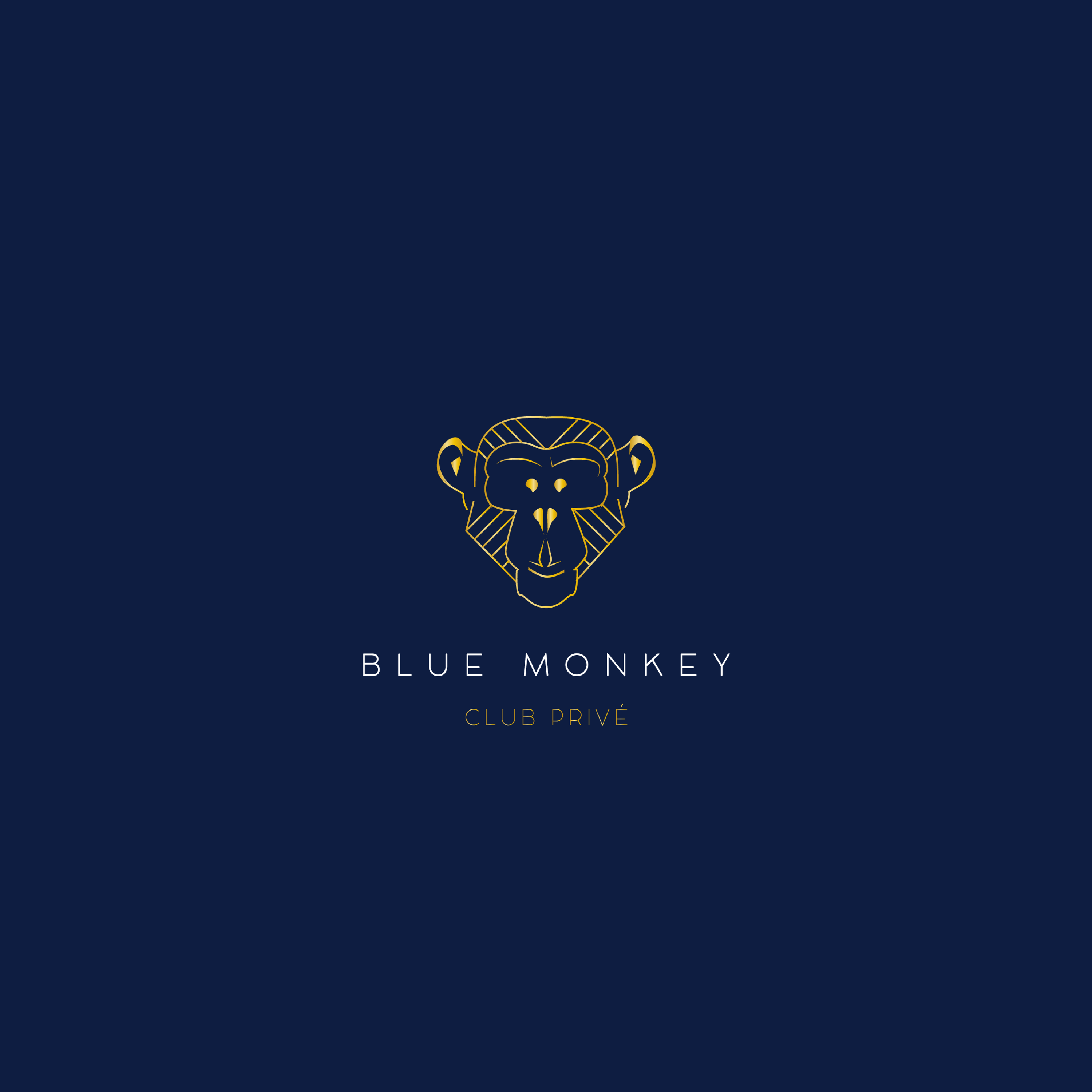 Blue Monkey Club Saint-Quentin Discothèque