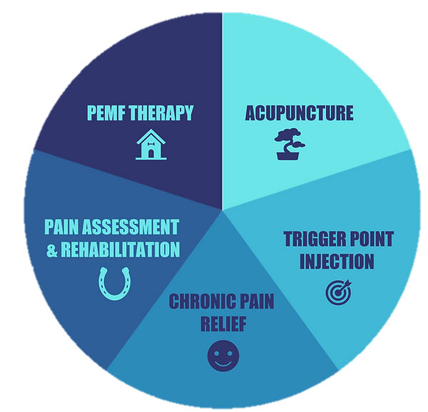 PAIN MANAGEMENT | Rob's Veterinary