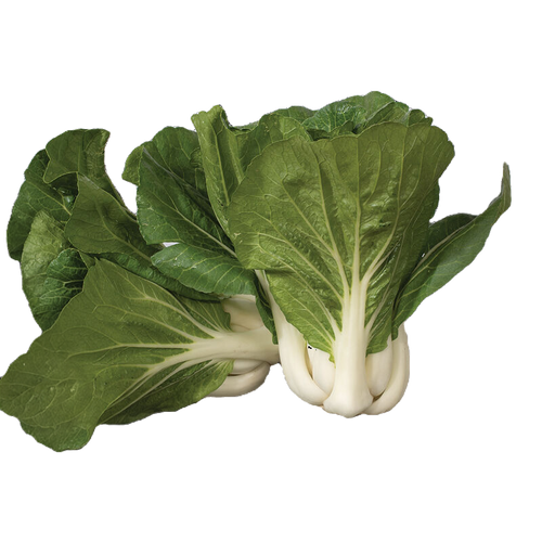 Pak Choi | Tanglefoot Farm