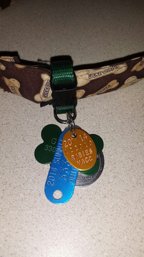 Dog ID Tag Holders / Clip - Buckle Style | collarsbyangela