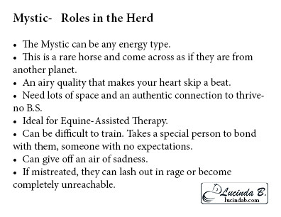 Equine Energy Types and Roles in the Herd- Set of Cards | LucindaB
