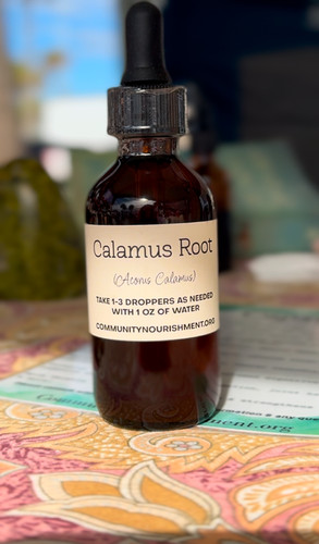 Calamus Root Tincture | Communitynourishment