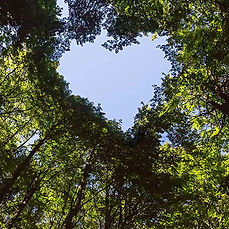 Signage Solutions from FPL Signs | Stand Out From The Crowd | unit 2 ...