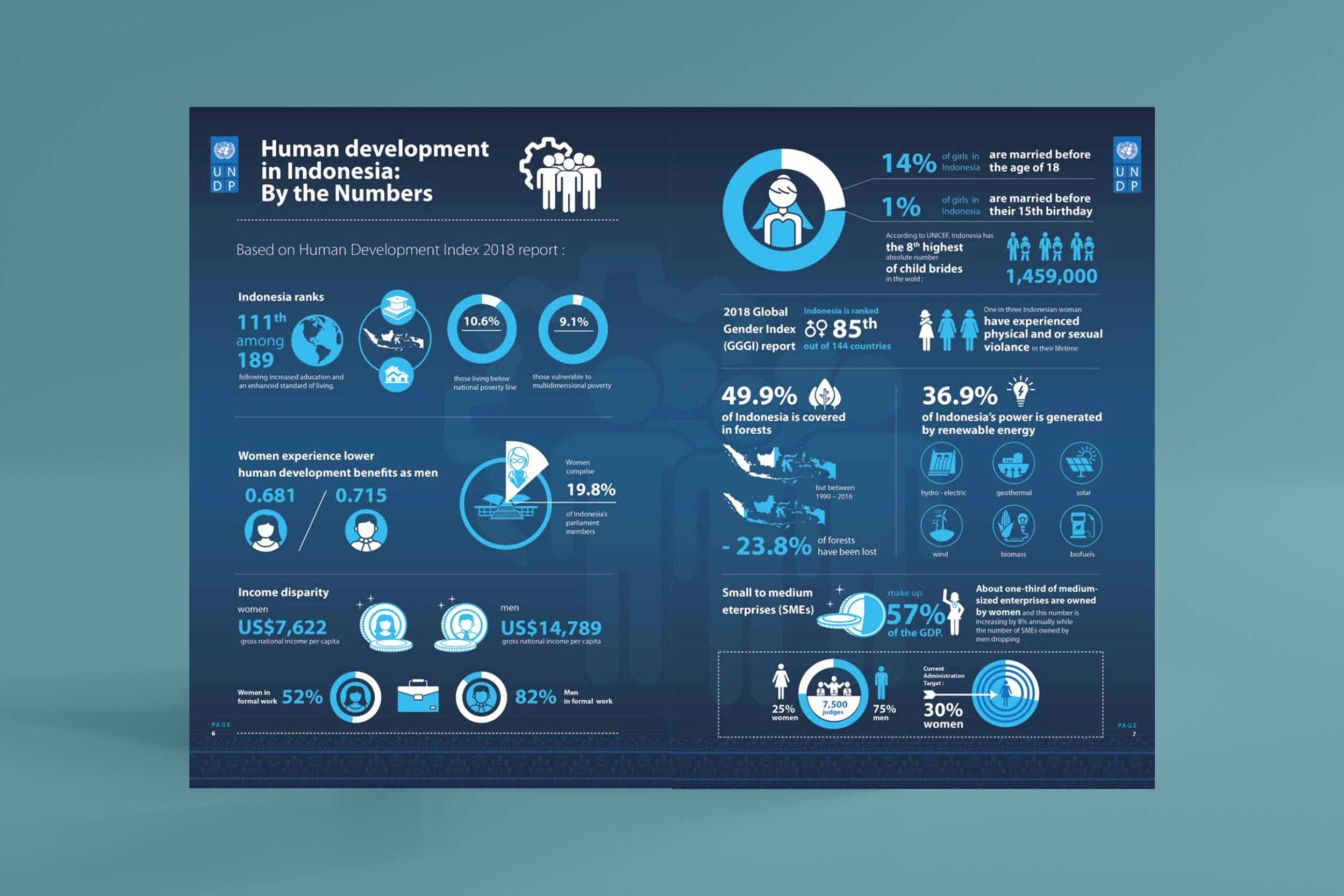 Infographic Design Services | UNDP Indonesia Results Report | Poligrabs