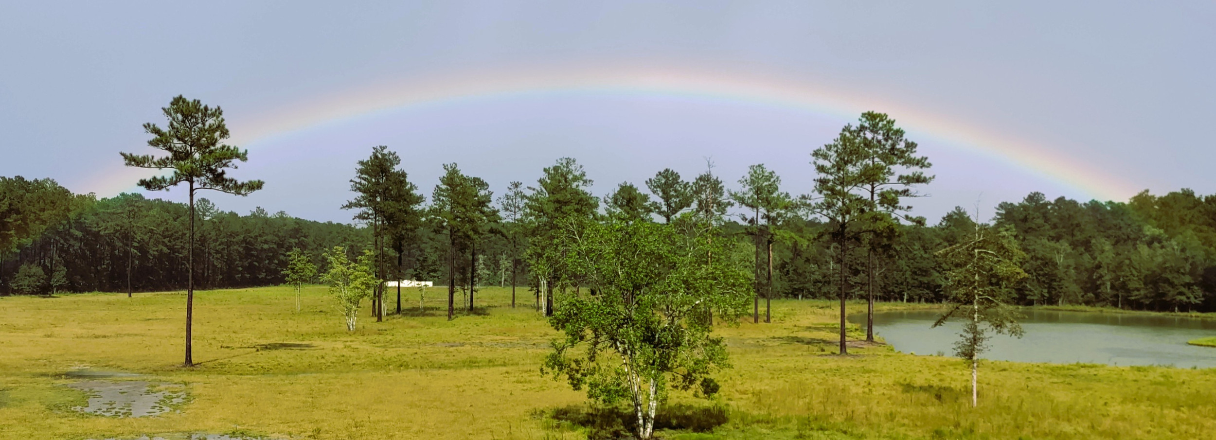 About | Mustang Alley Ranch