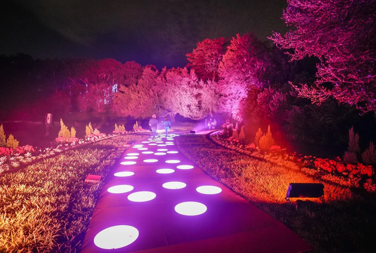 Dazzling Nights returning to Leu Gardens to light up Orlando for the ...