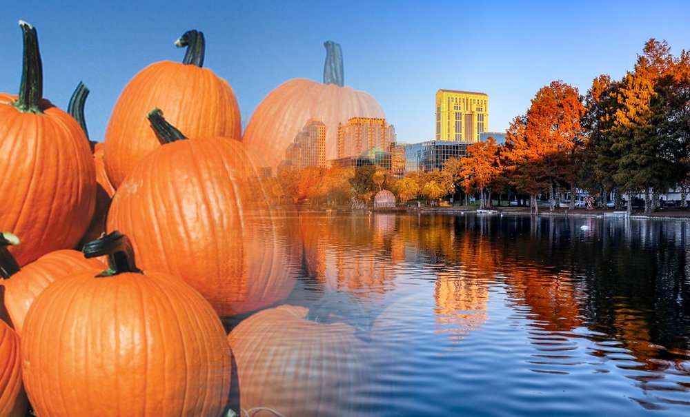 100 Free Things To Do in Orlando during Fall