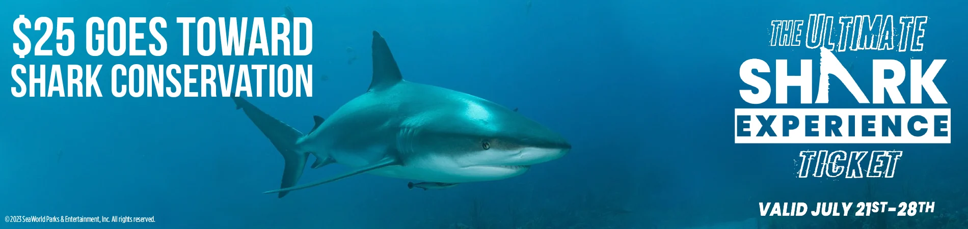 Celebrate Shark Week with the first ever Ultimate Shark Experience at ...