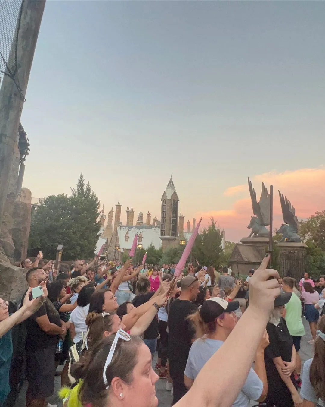 Fans Raise Wands At The Wizarding World Of Harry Potter To Honour The ...