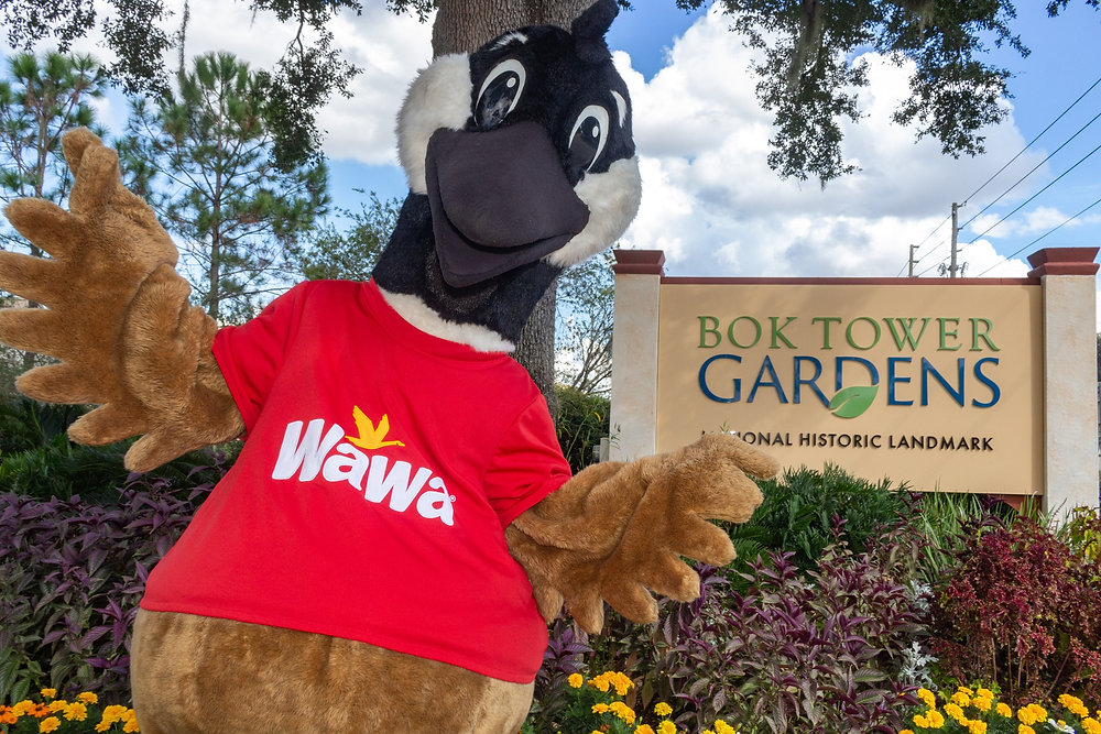 Wawa Summer Fun Days returns to Bok Tower Gardens, offering FREE ...