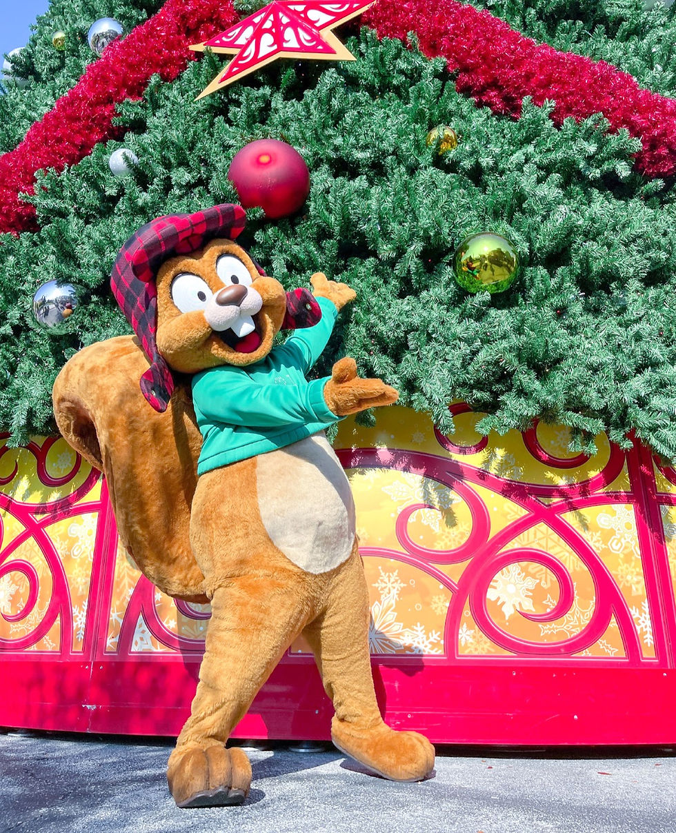 Halloween Is Officially Over As Earl The Squirrel Is Back At Universal ...