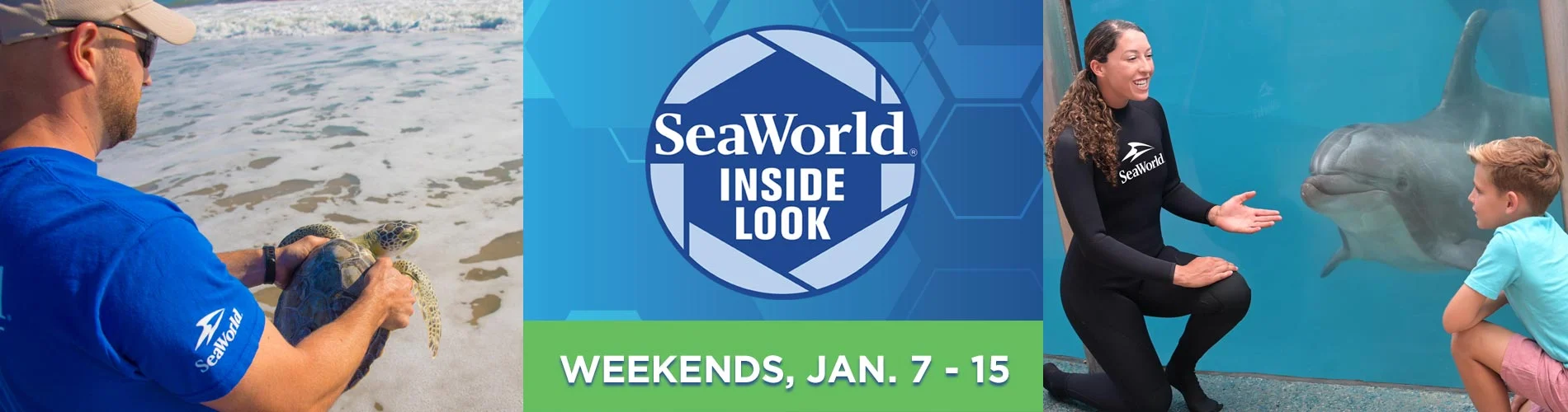 Get An Up Close Look at SeaWorld Orlando During January Inside Look ...