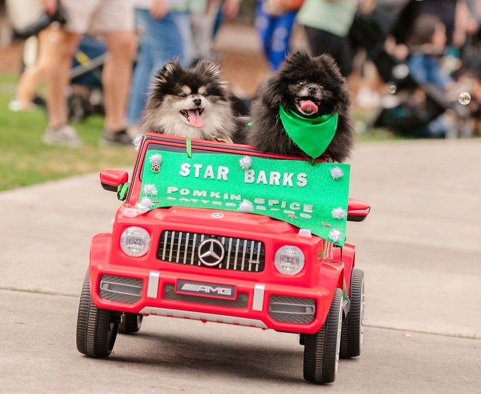 Florida's largest pet festival, Pet Alliance of Greater Orlando Paws in ...