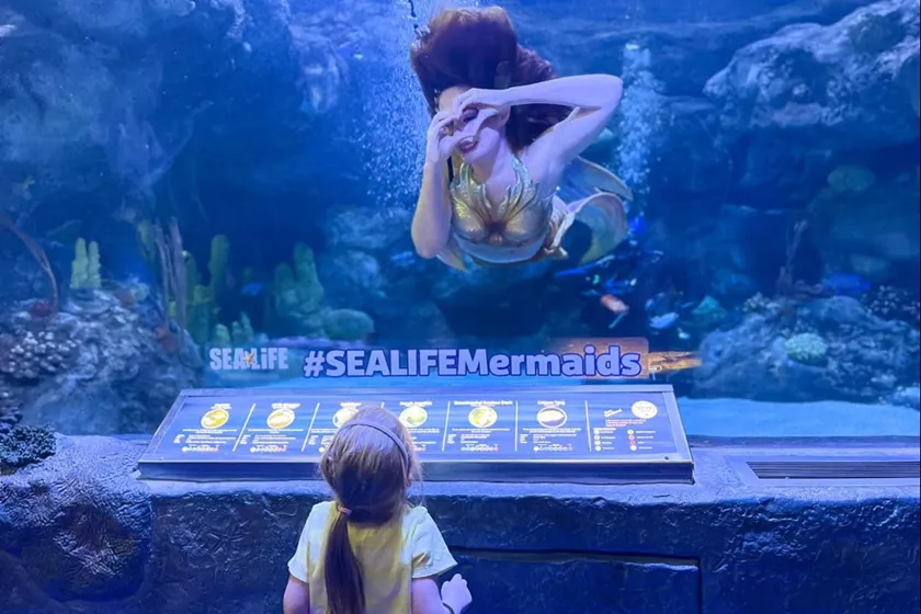 Mermaids are swimming back to Sea Life Orlando Aquarium this October!